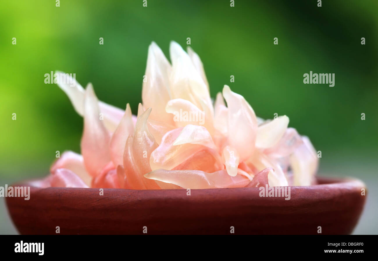 Macro of Shaddock pulp Stock Photo - Alamy