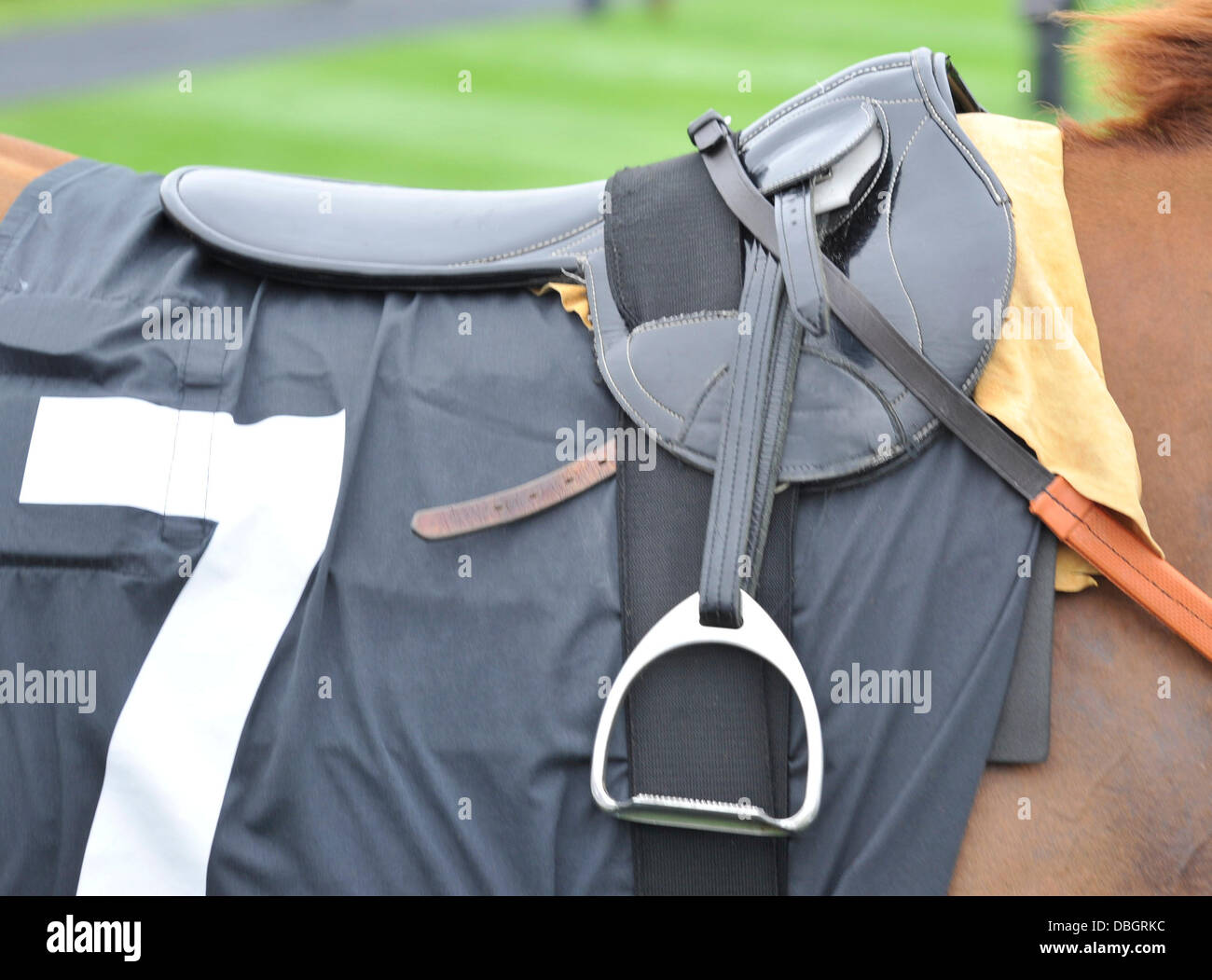 Racing saddle hi-res stock photography and images - Alamy