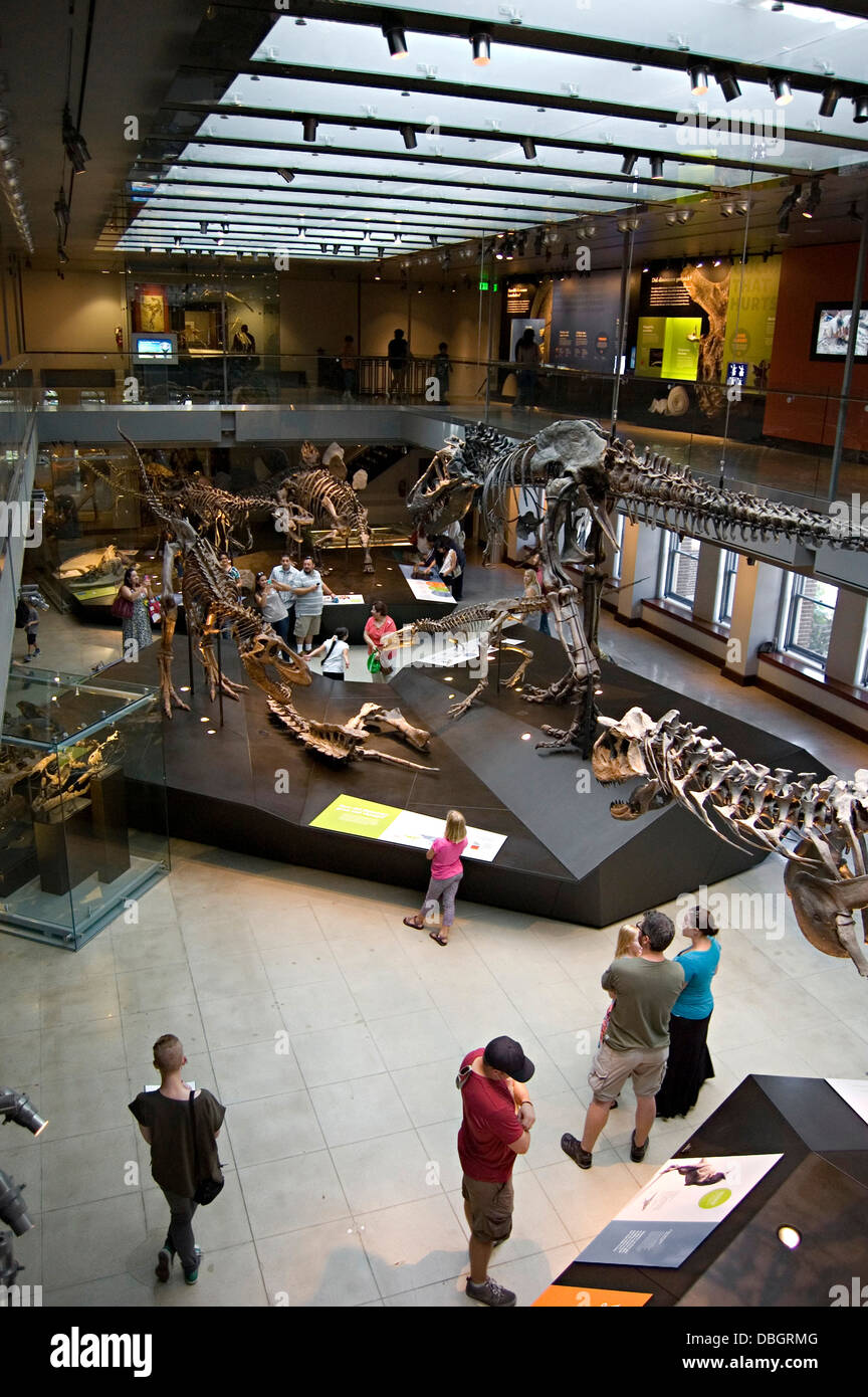 Natural History Museum of Los Angeles County, California Stock Photo ...