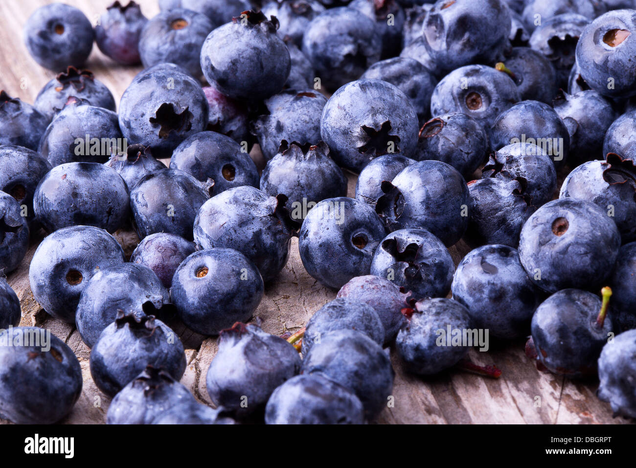 Fresh sweet Bilberries a Close-up background macro Stock Photo - Alamy