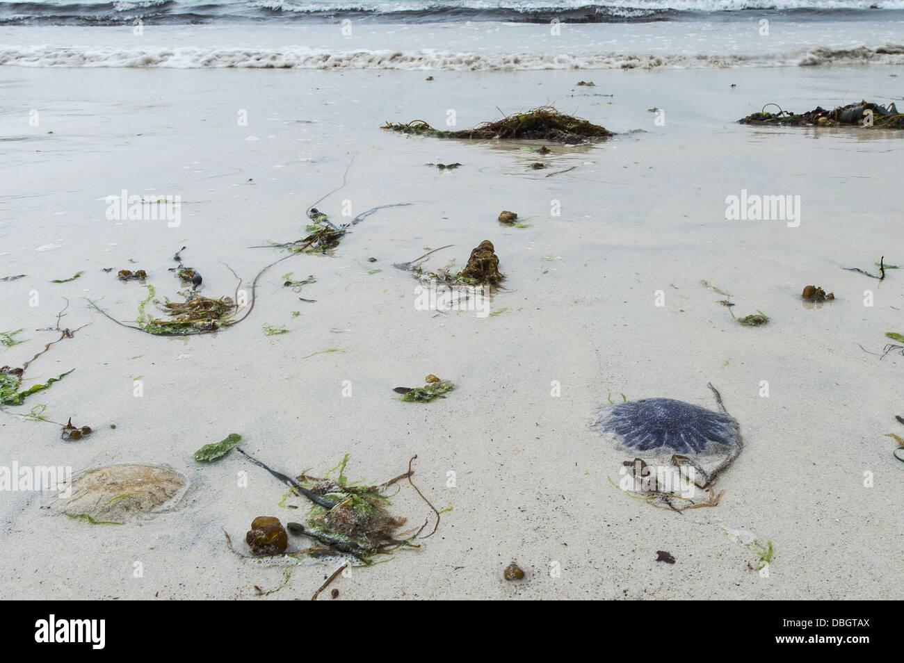 Blue jelly hi-res stock photography and images - Alamy