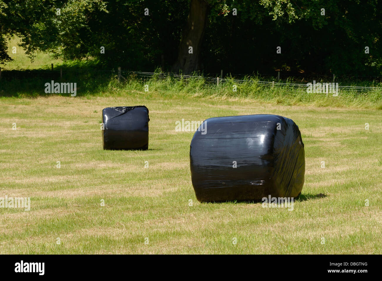 Wrapped Bale High Resolution Stock Photography and Images - Alamy