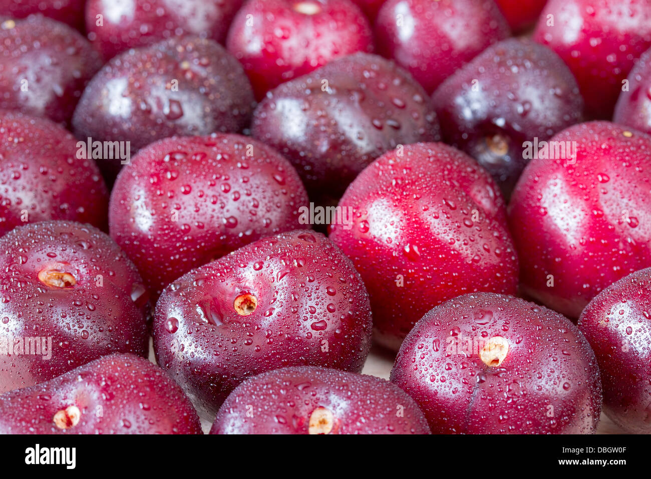 Several picota cherries with water droplets Stock Photo - Alamy