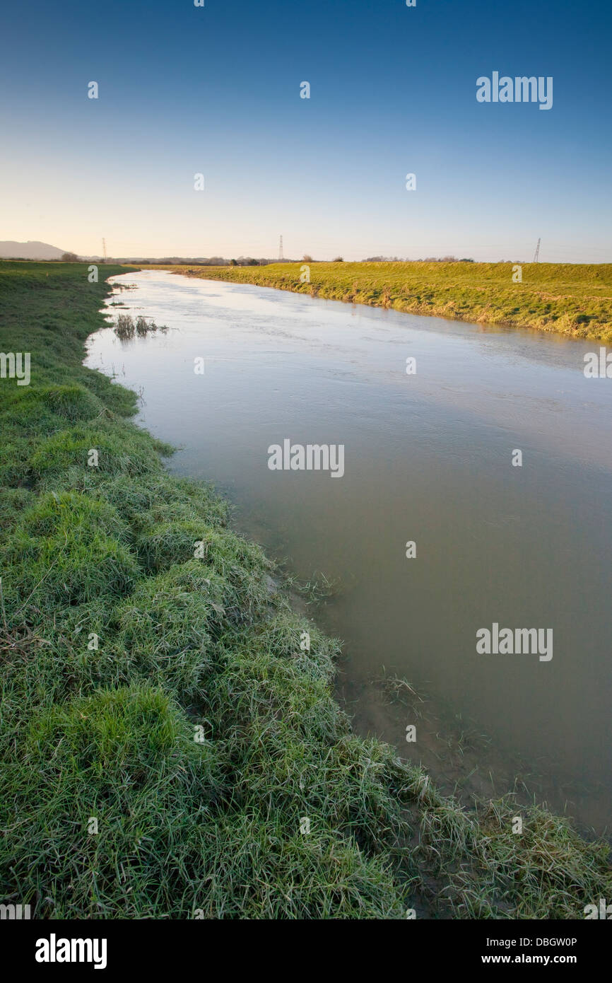 Beeding hi-res stock photography and images - Alamy