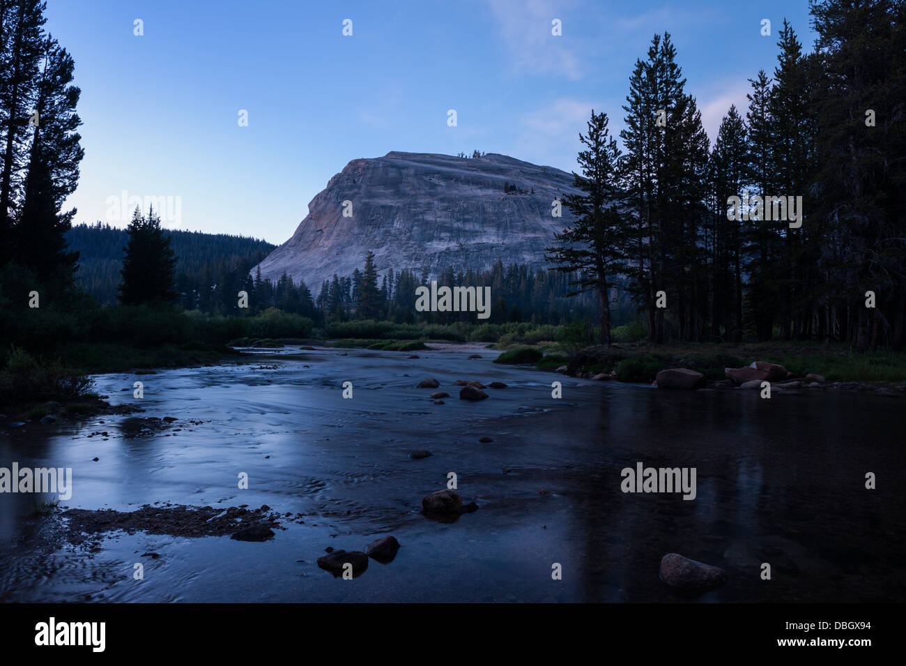 Lyell hi-res stock photography and images - Alamy