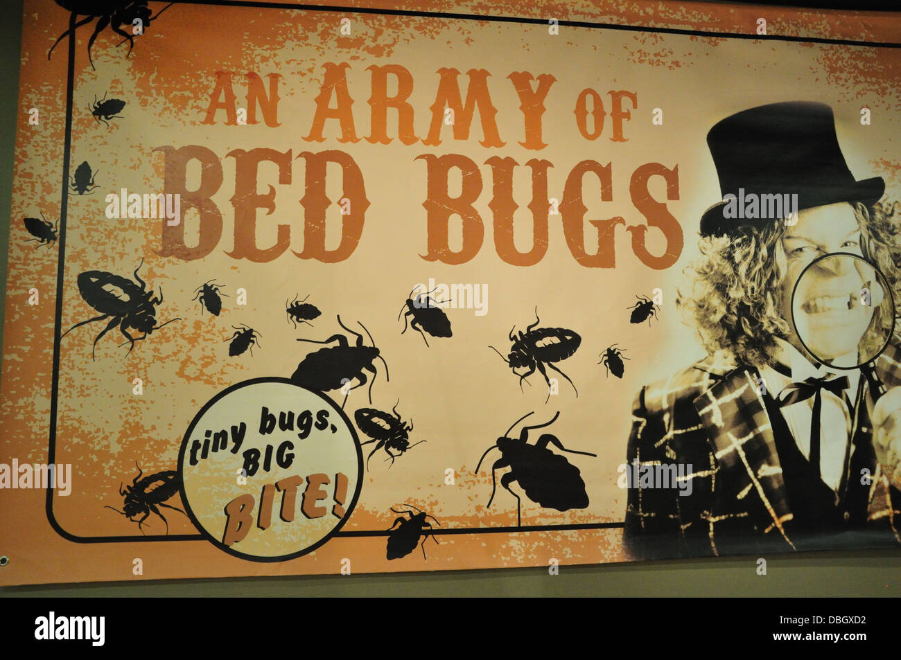 Poster on bed bugs displayed at the Science Museum of Western Virginia ...
