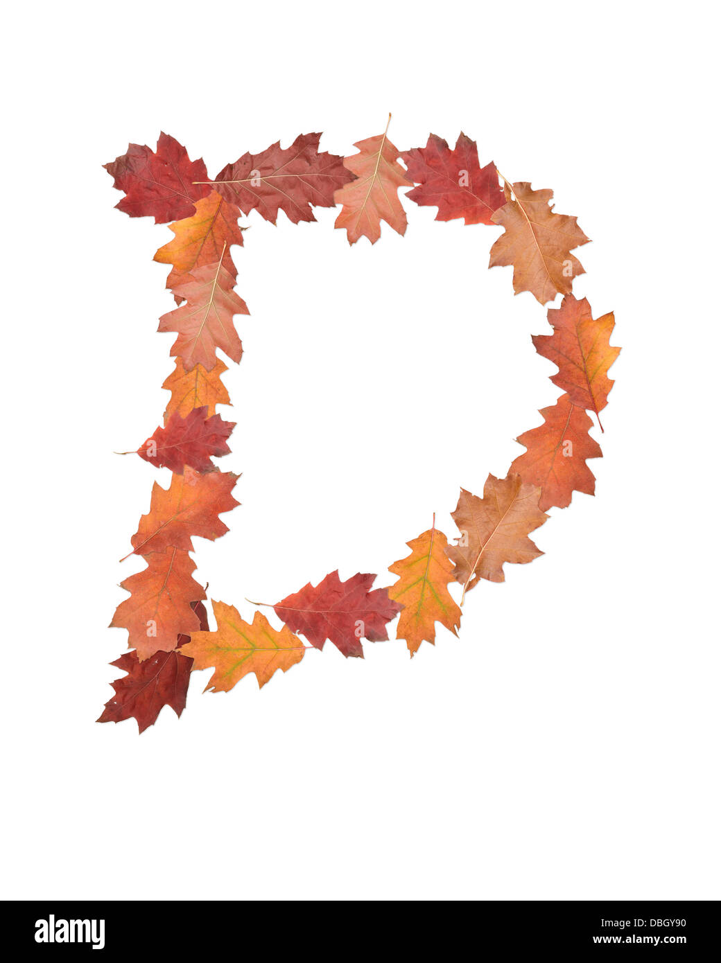 letter made of oak autumn leaves Stock Photo - Alamy