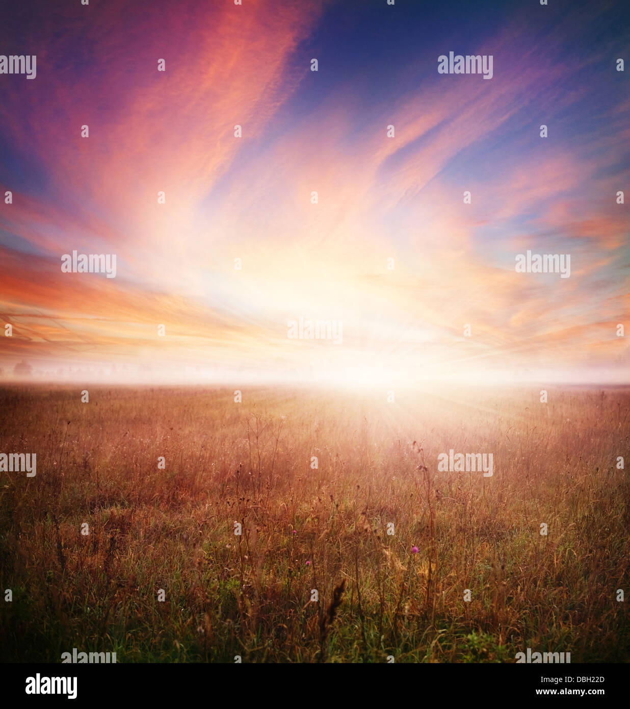 Autumn morning. Early Morning Landscape Stock Photo - Alamy