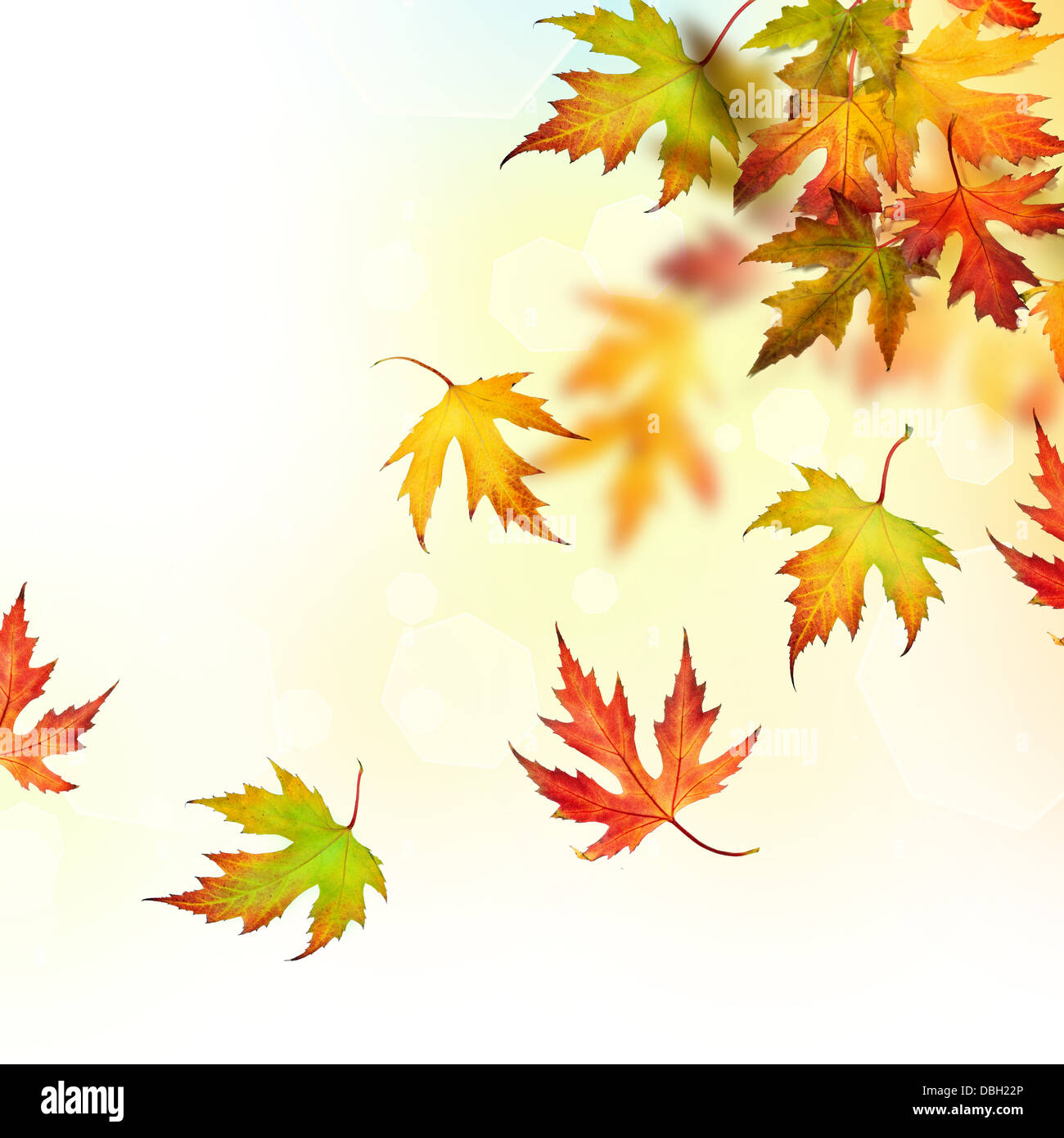 Falling Autumn Leaves Stock Photo - Alamy