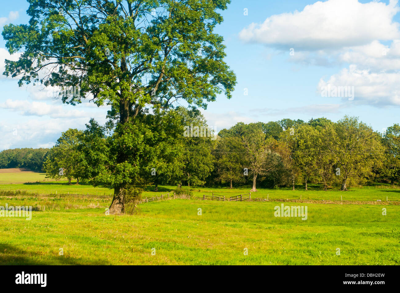An image of landscape on late summer Stock Photo - Alamy
