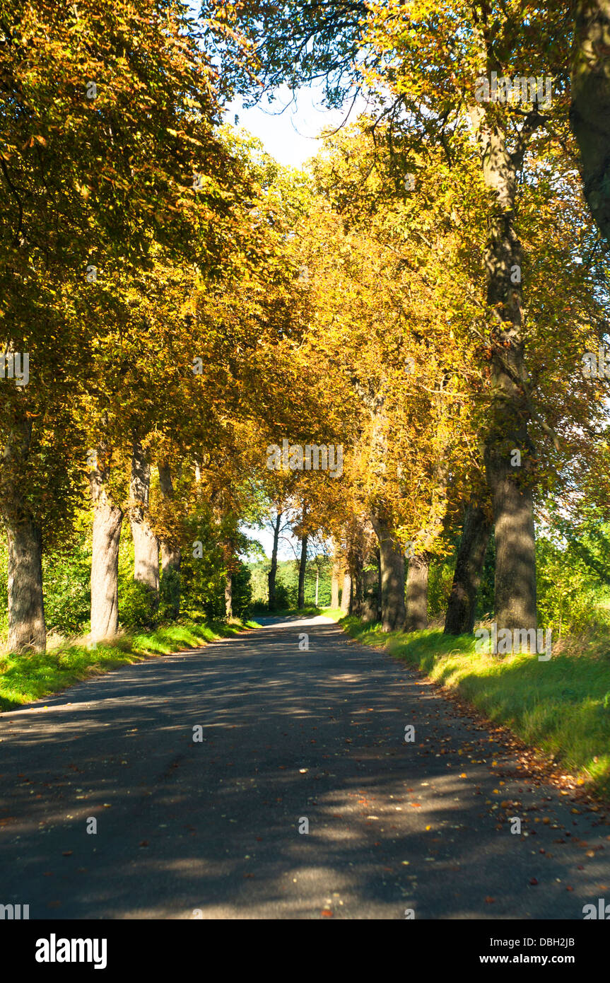 An image of highway road Stock Photo - Alamy
