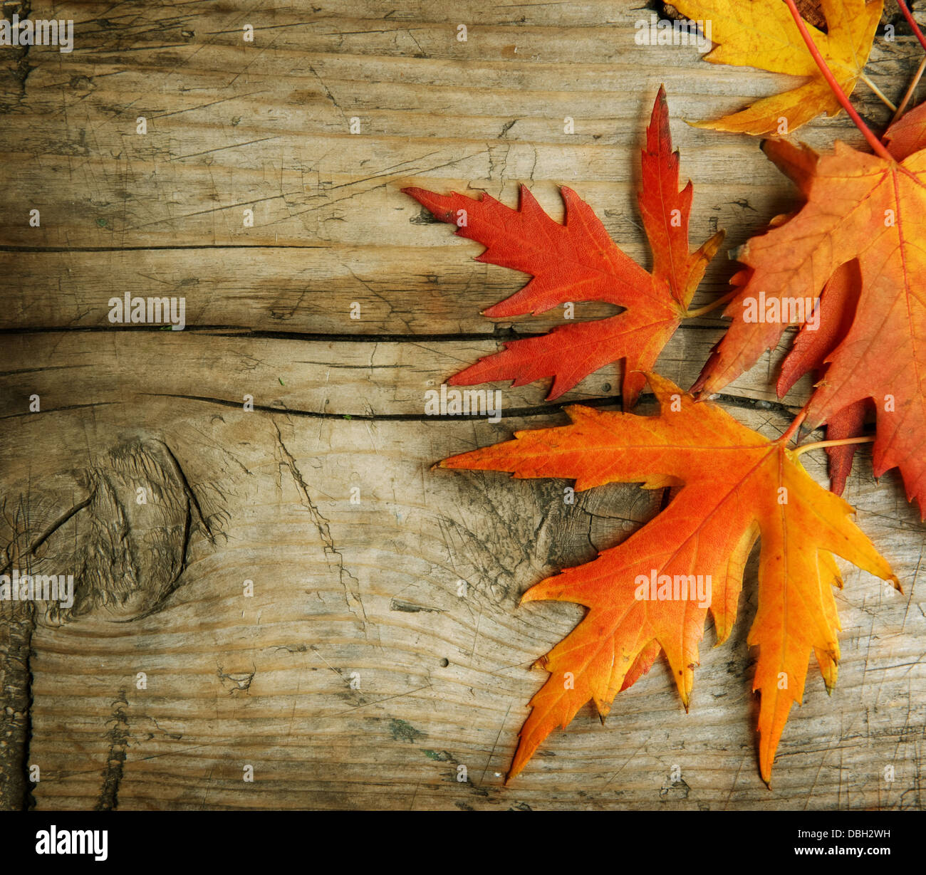 Autumn Leaves over wooden background. With copy space Stock Photo - Alamy