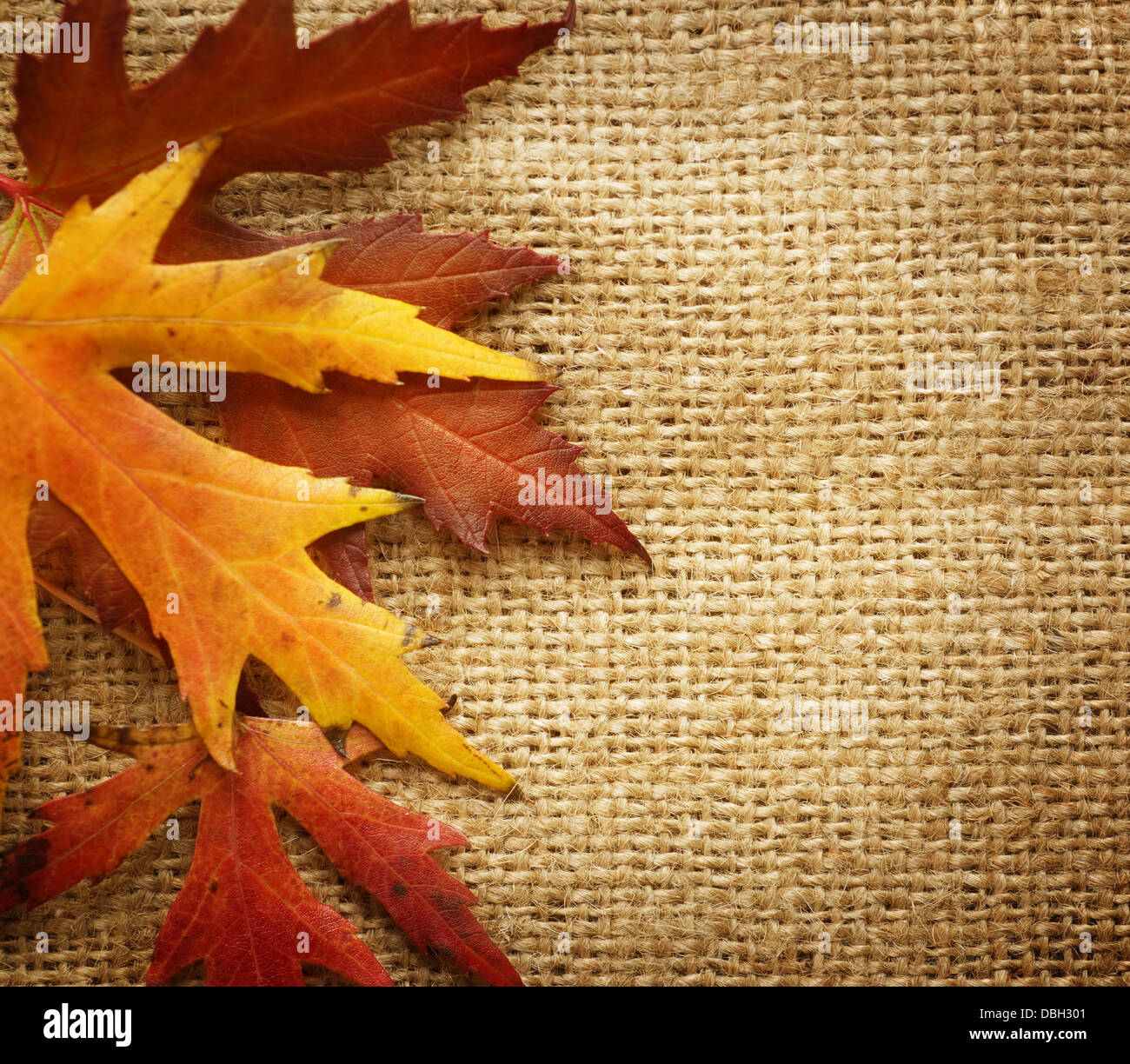 Autumn Leaves border over Burlap background Stock Photo - Alamy