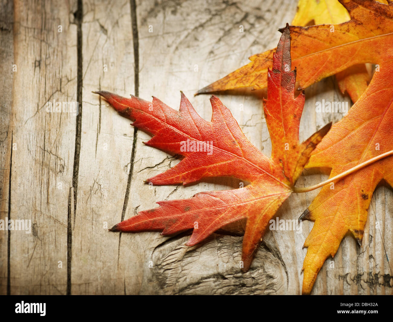 Autumn Leaves over wooden background. With copy space Stock Photo - Alamy