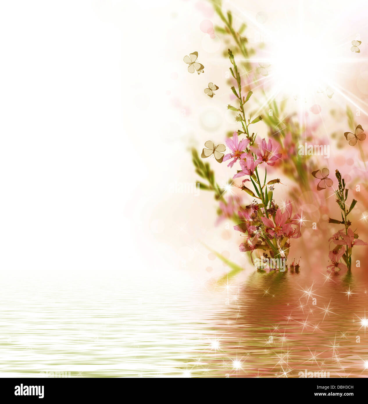 Beautiful Floral Border Stock Photo - Alamy