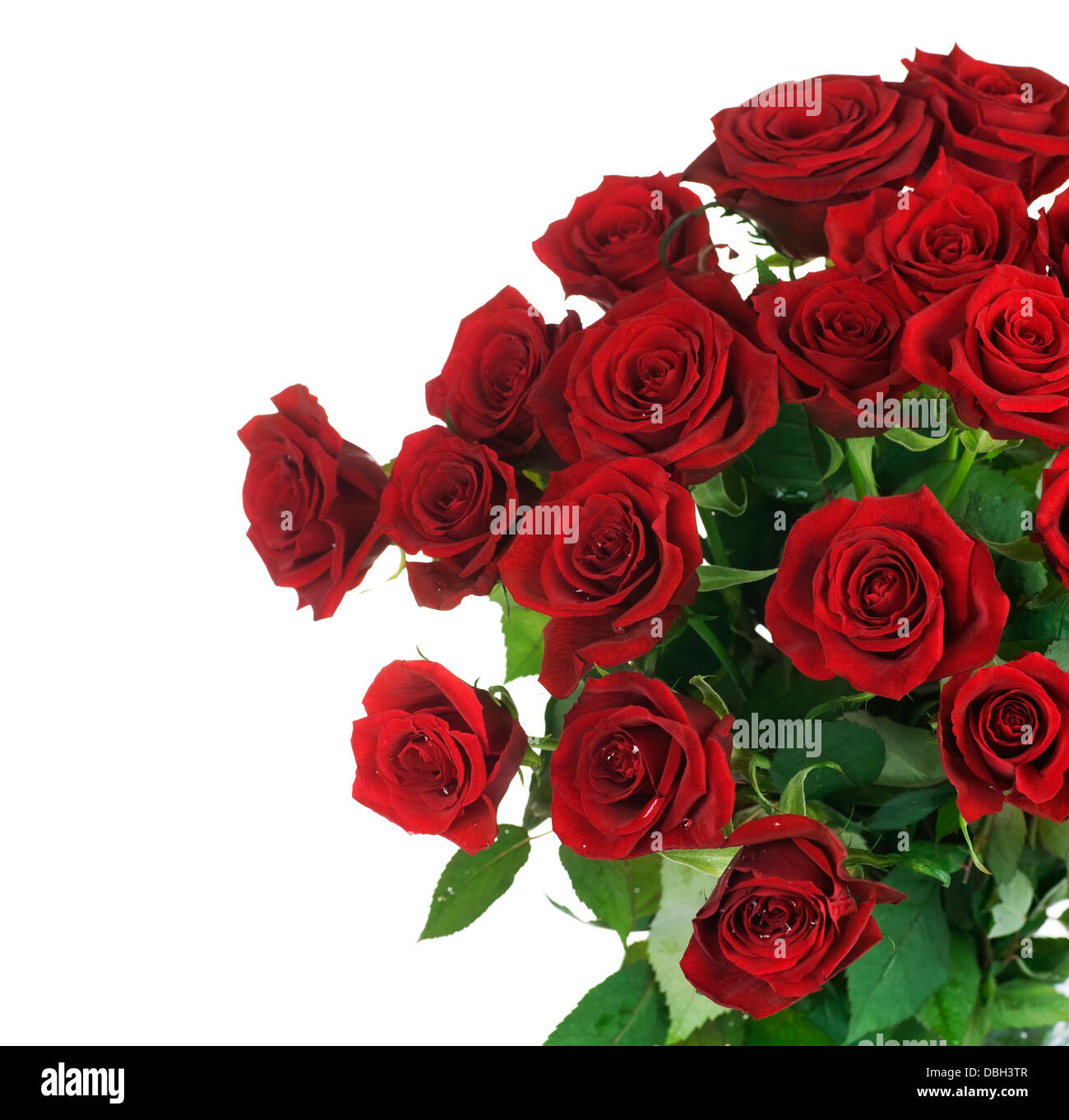 Big Red Roses Bouquet Stock Photo - Alamy