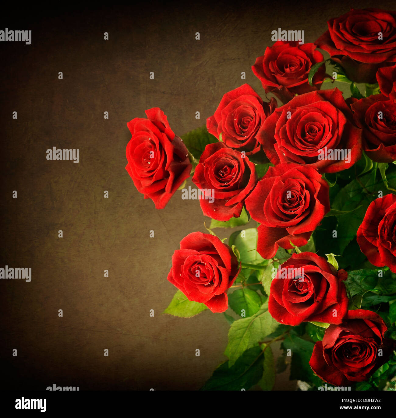 Big Red Roses Bouquet. Vintage Styled Stock Photo - Alamy