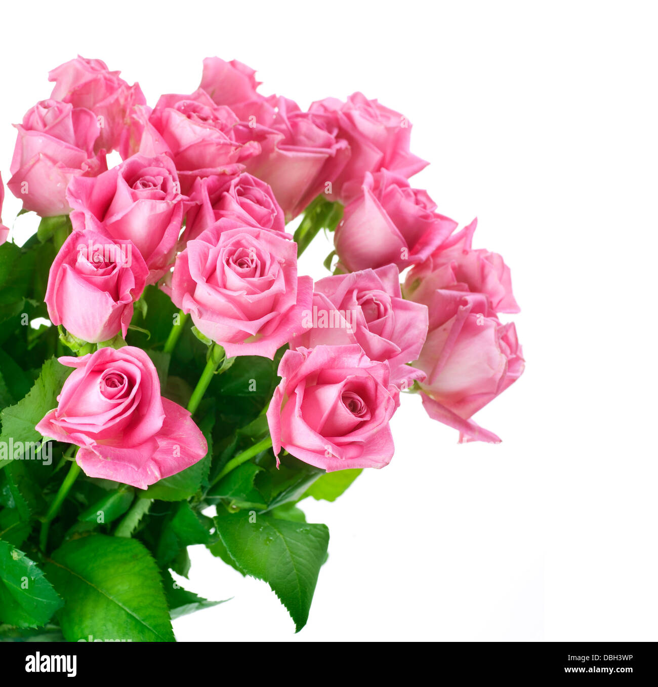 Big Roses Bouquet Stock Photo - Alamy