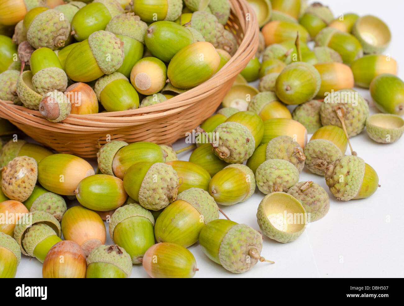 An image of haycorns Stock Photo - Alamy