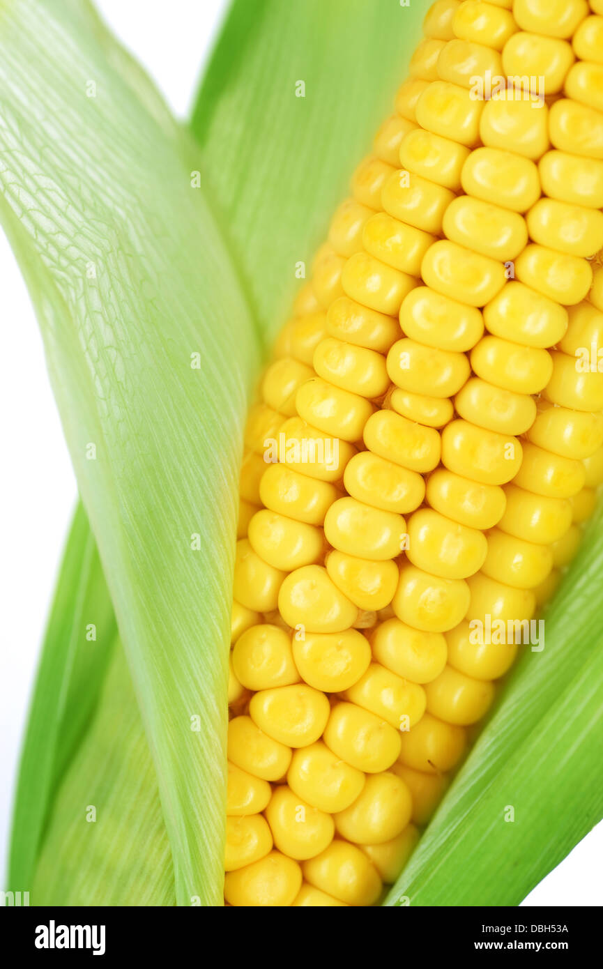 Sweet Corn Isolated On White Stock Photo - Alamy