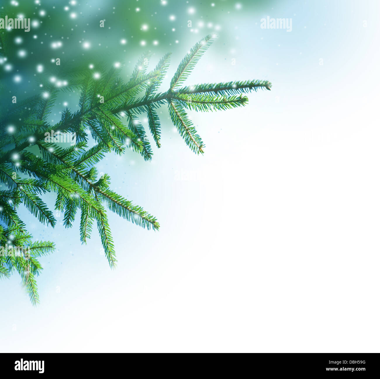 Christmas Tree Border Stock Photo - Alamy