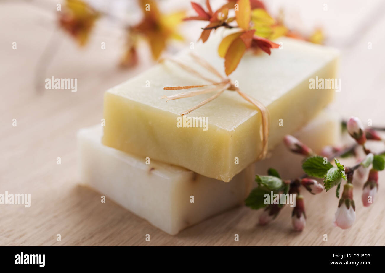 Bar Of Natural Handmade Soap With Herbs Stock Photo - Alamy