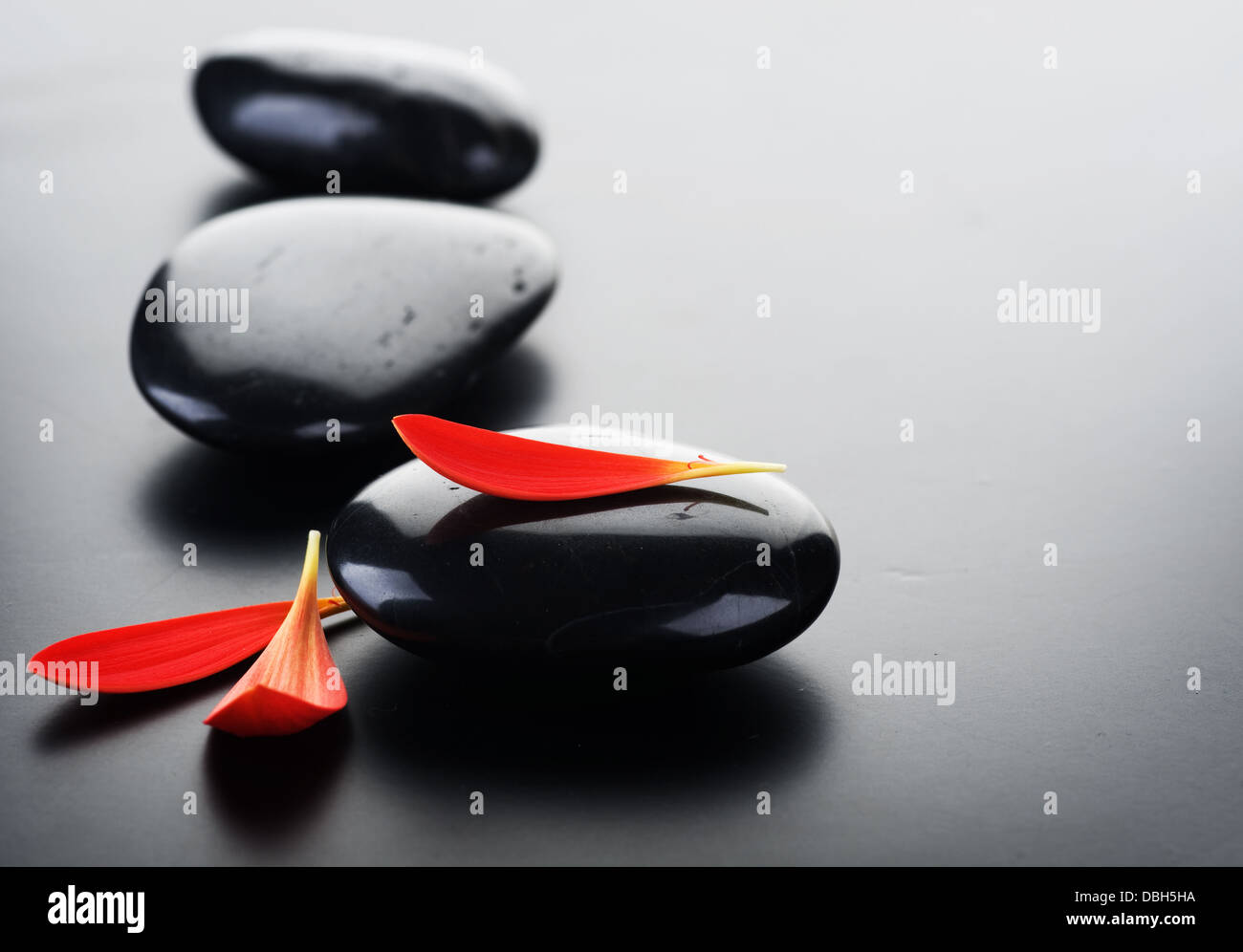 Spa Stones With Red Petals Stock Photo - Alamy