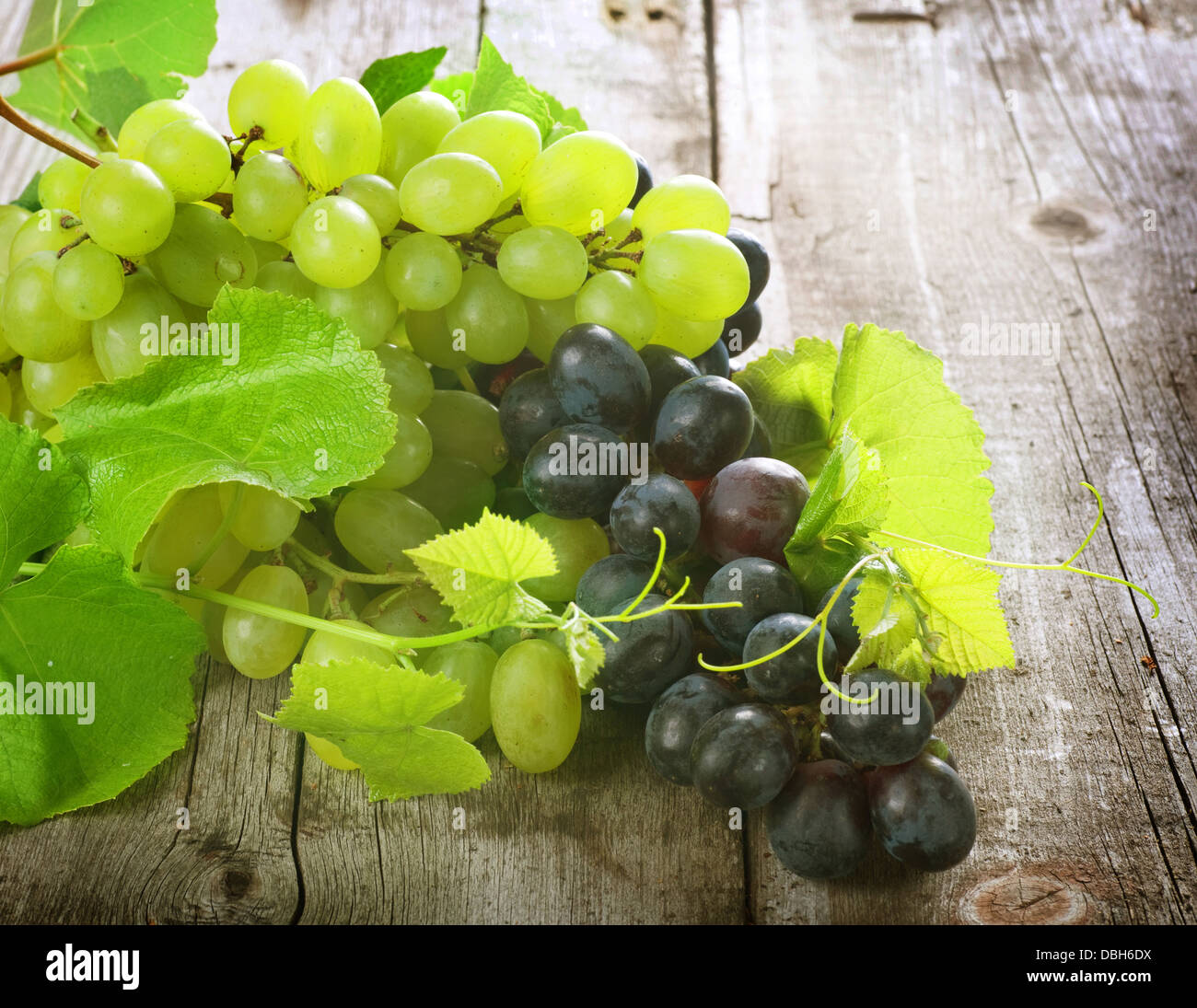 Bunch of grape Stock Photo - Alamy
