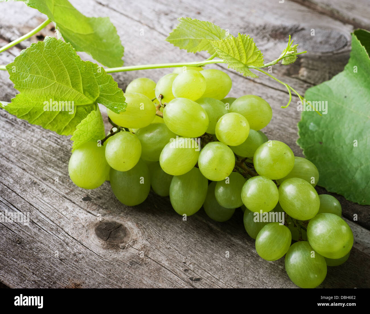 Bunch of grapes Stock Photo - Alamy