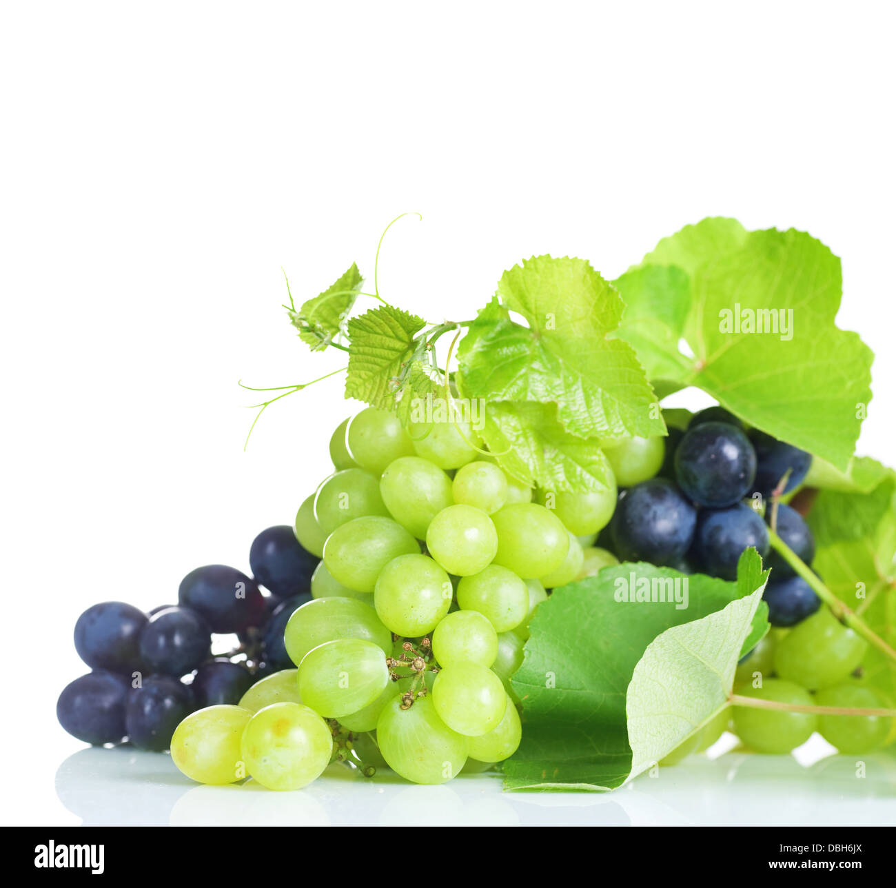 Grapes Border Isolated On White Stock Photo - Alamy