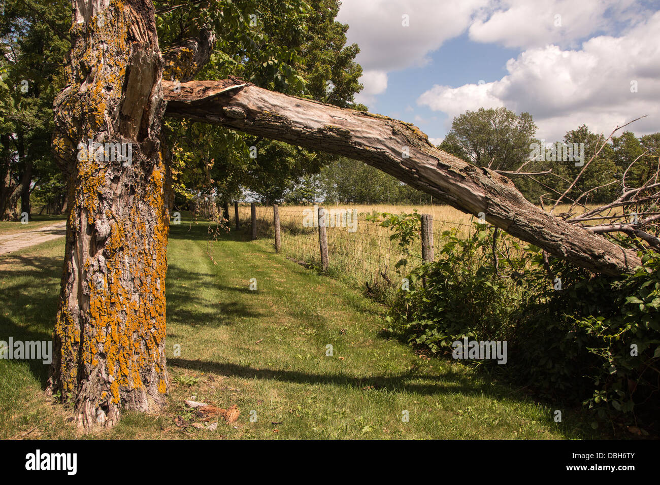 Broken limb hi-res stock photography and images - Alamy