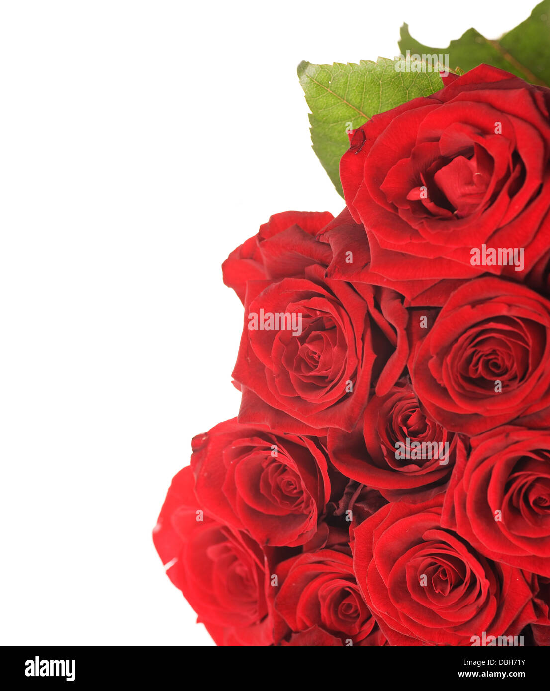 Big Roses Bouquet Stock Photo - Alamy