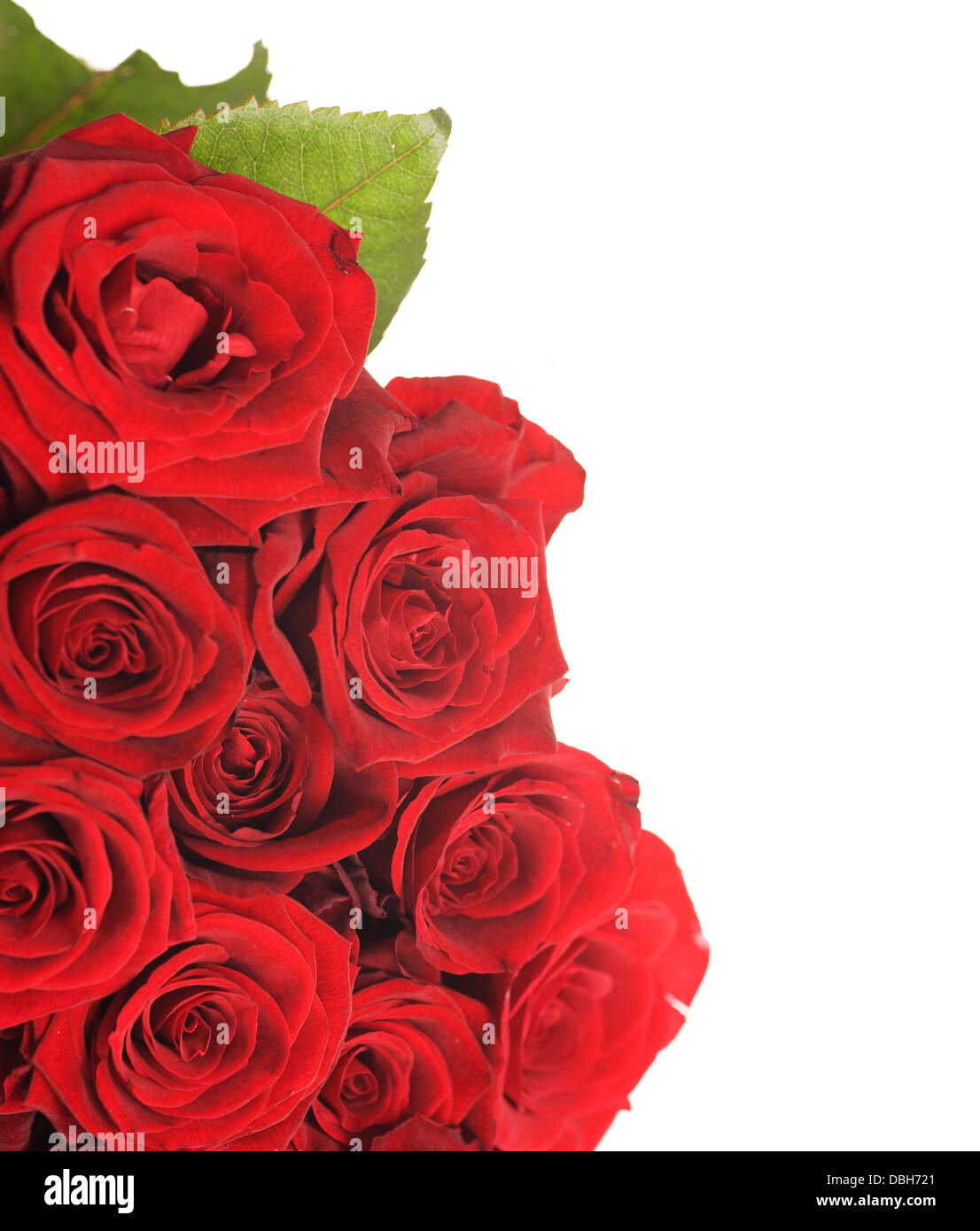 Big Red Roses Bouquet Stock Photo - Alamy