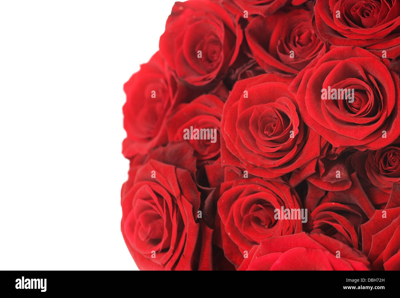 Big Roses Bouquet Stock Photo - Alamy