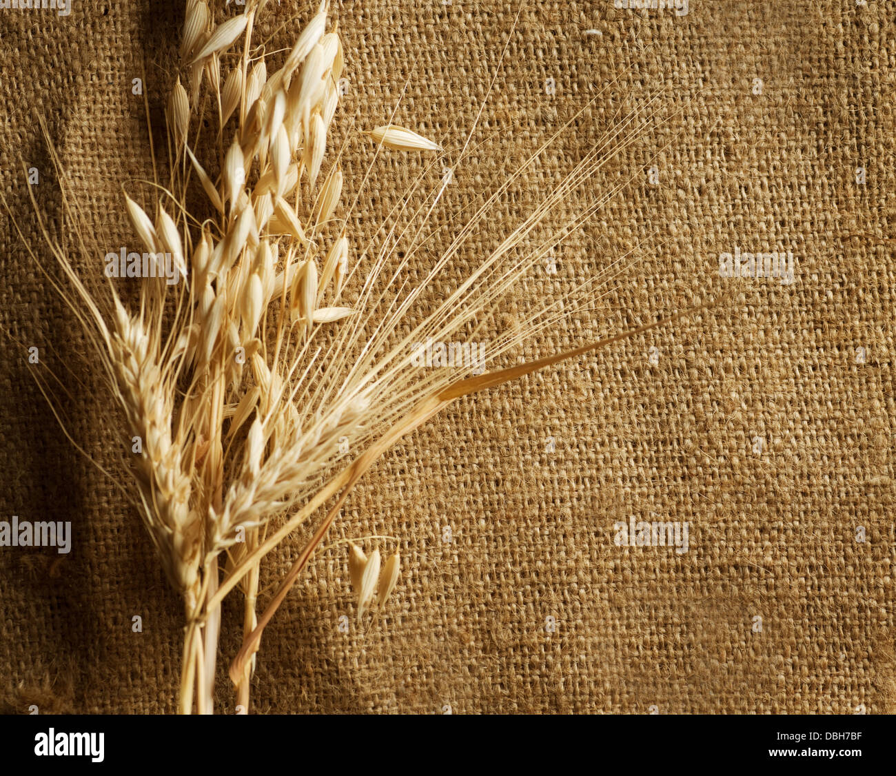 Wheat Ears border on Burlap background. with copy-space Stock Photo - Alamy