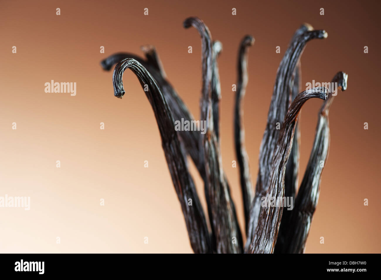 Vanilla Beans Closeup Stock Photo - Alamy