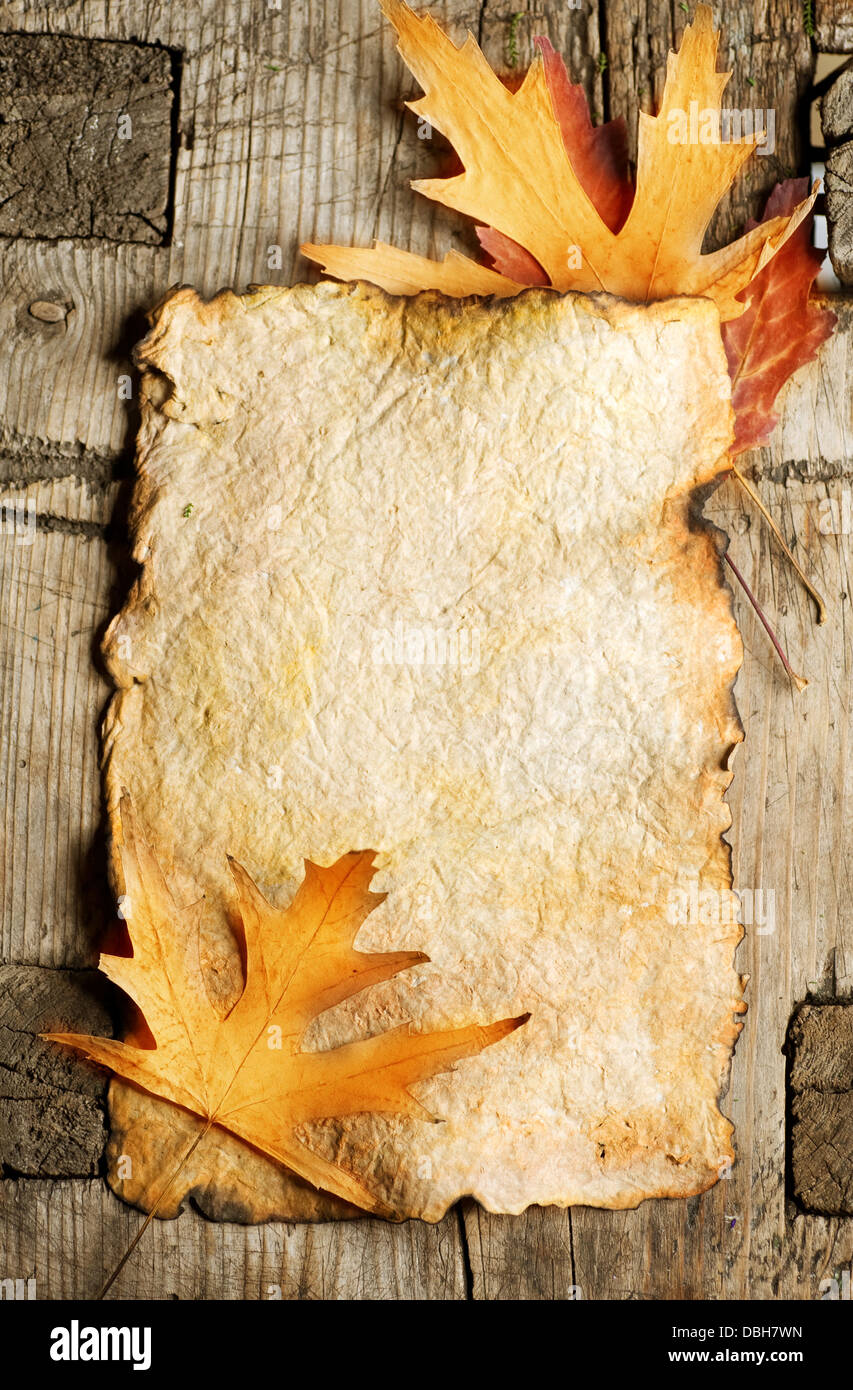 Autumn Leaves on the Old Paper sheet Stock Photo - Alamy