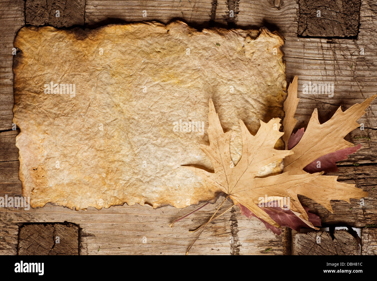 Autumn Leaves on the Old Paper sheet Stock Photo - Alamy