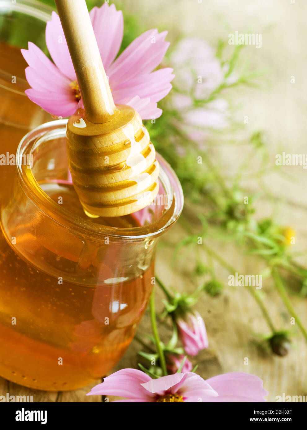 Fill jar with honey hi-res stock photography and images - Alamy