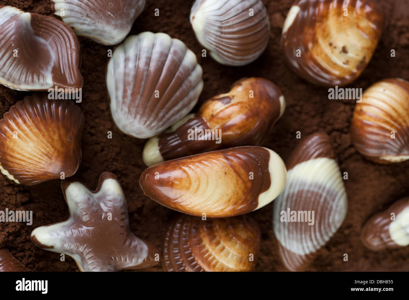 Chocolate Seashells Background Stock Photo - Alamy