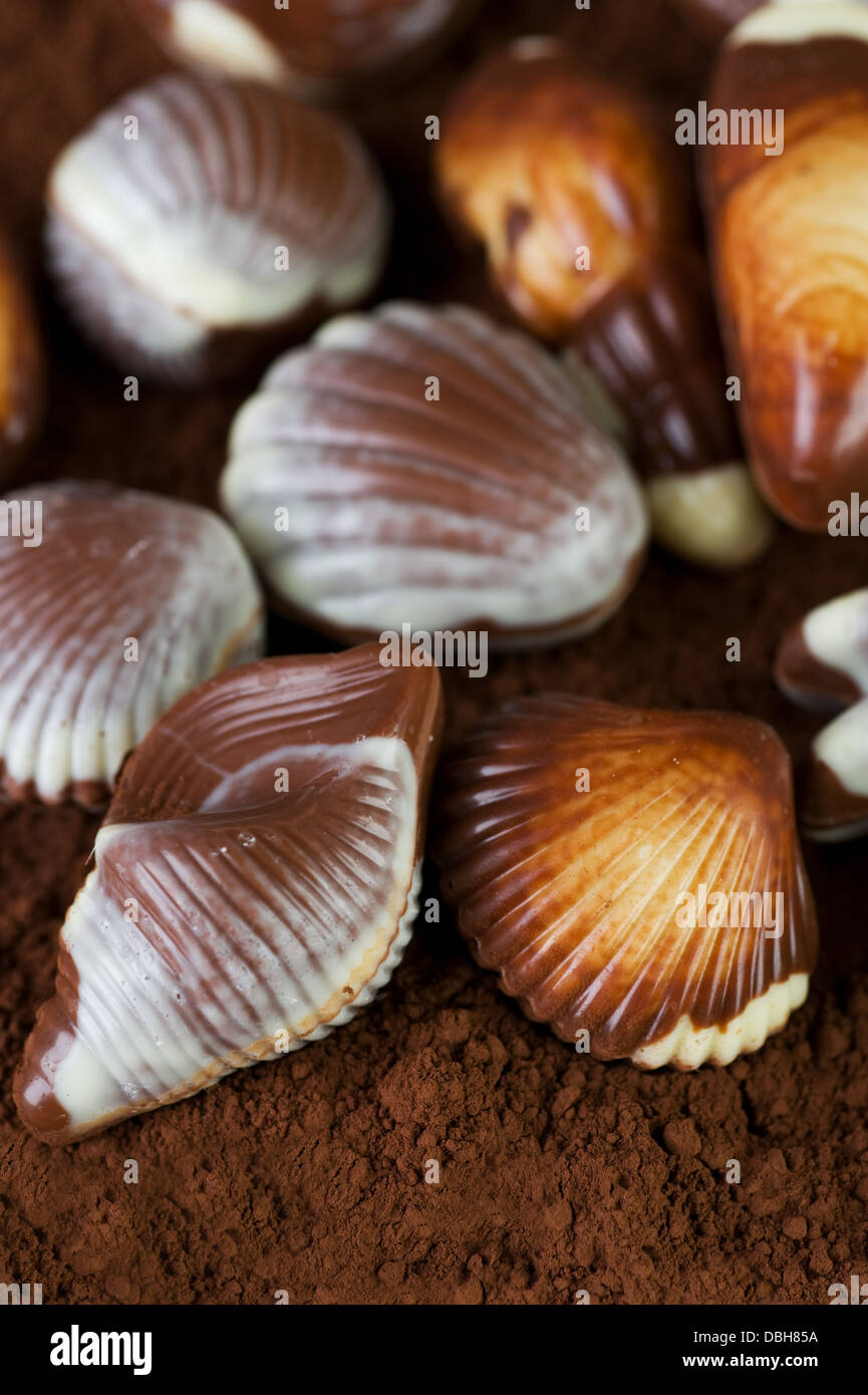 Swiss Chocolate Seashells Closeup Stock Photo - Alamy