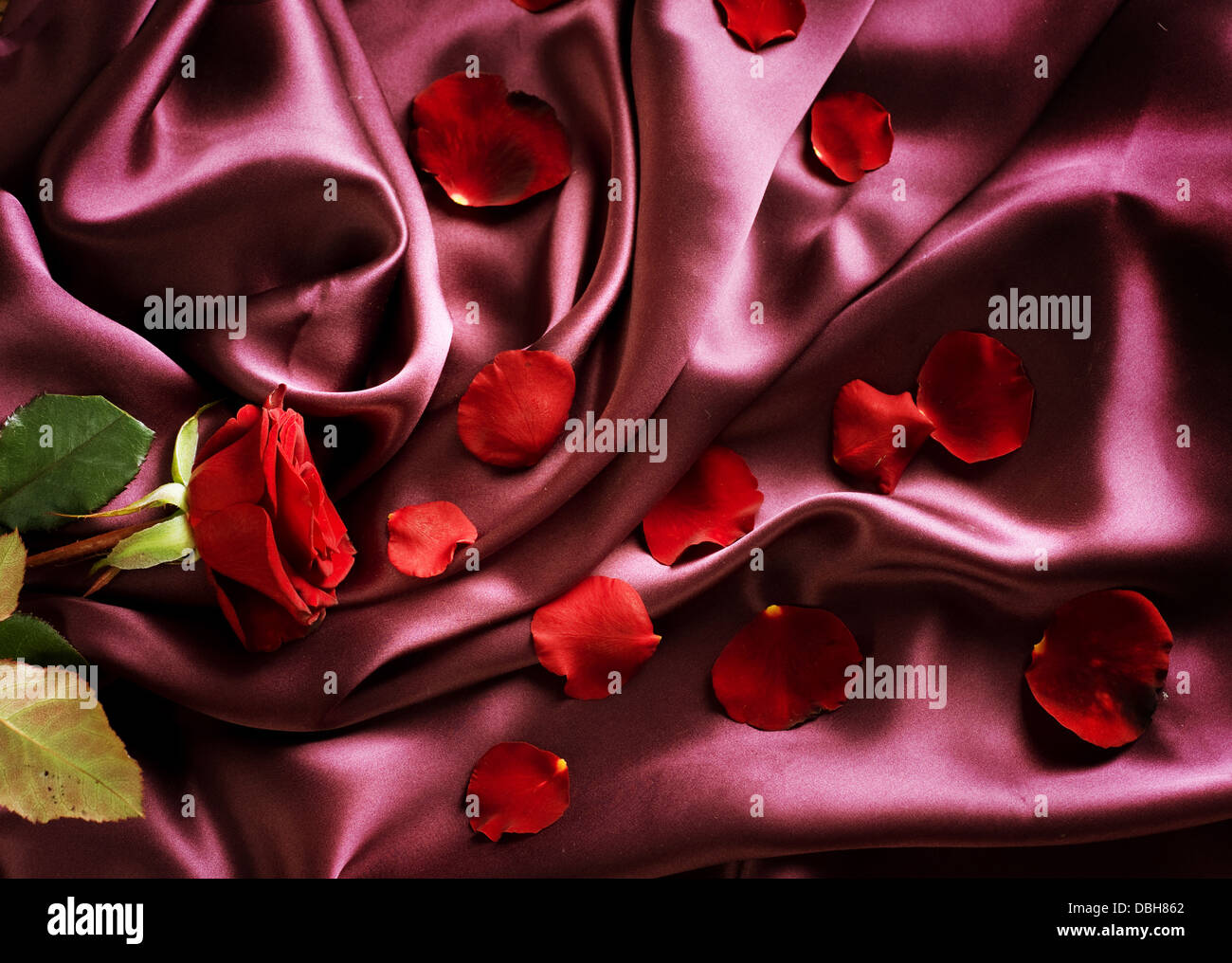 Red Silk And Rose Petals Stock Photo - Alamy