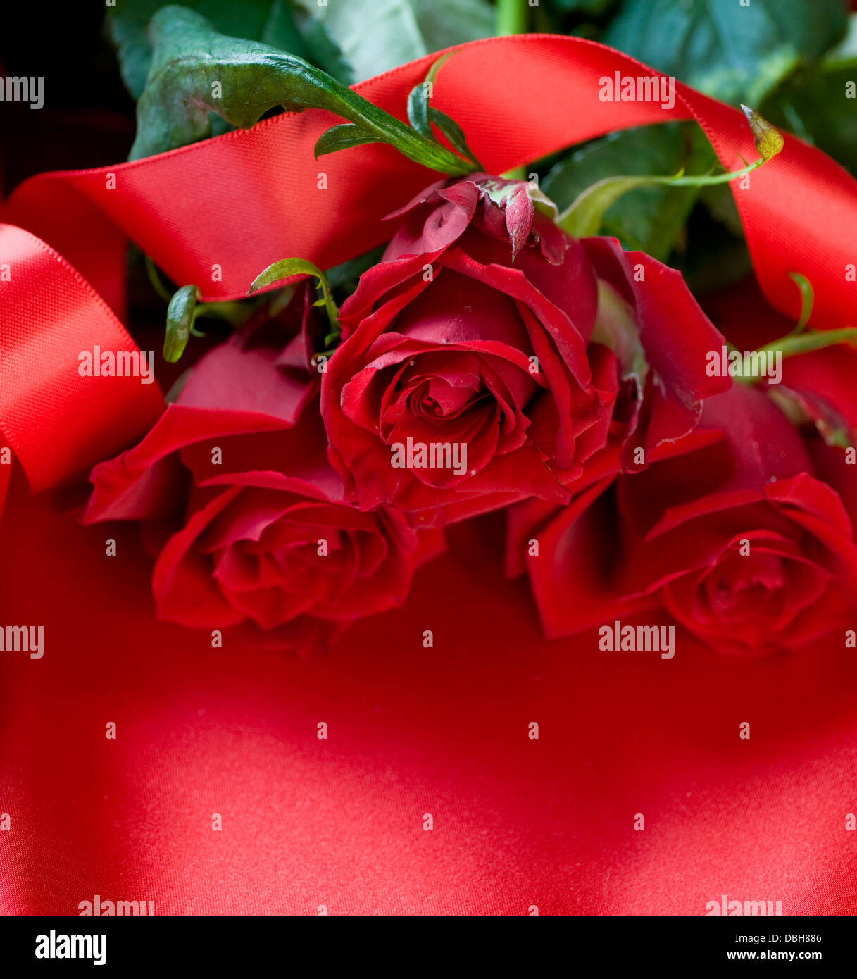 Red Roses over silk background Stock Photo - Alamy