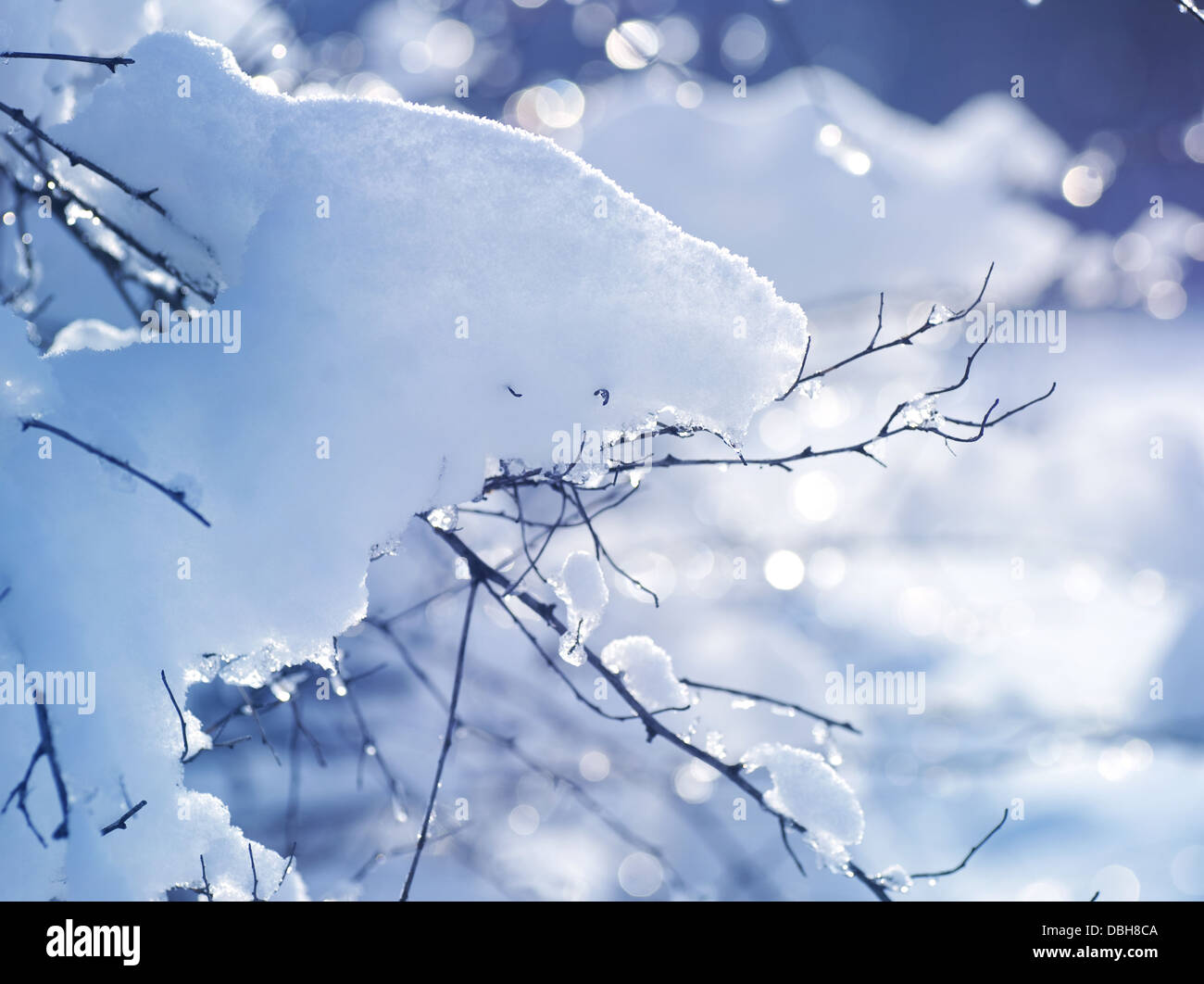 Winter art design. Snow Stock Photo - Alamy