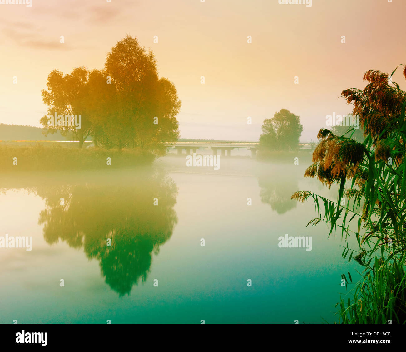 Summer landscape with river Stock Photo - Alamy