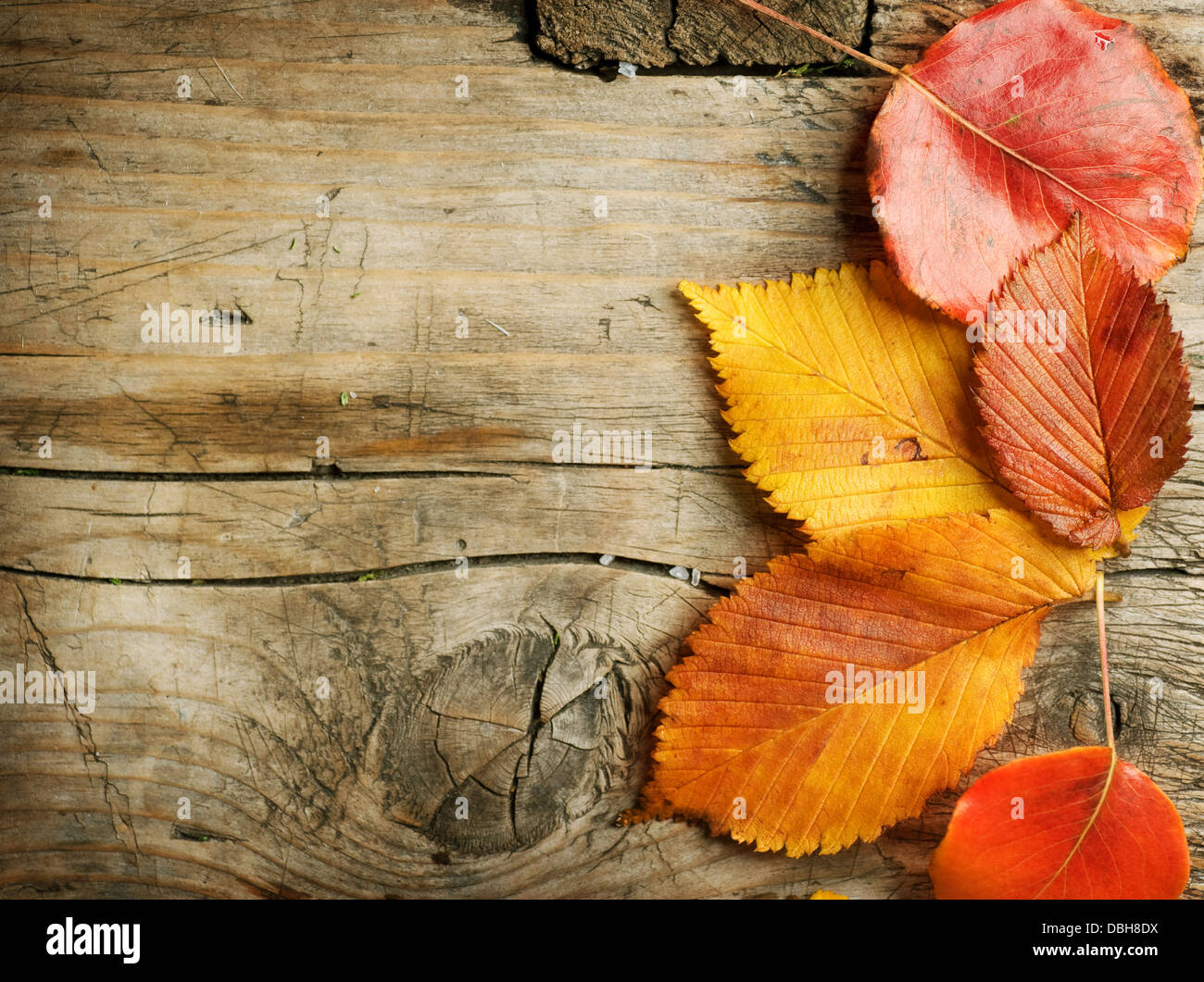 Autumn Leaves over wooden background. With copy space Stock Photo - Alamy