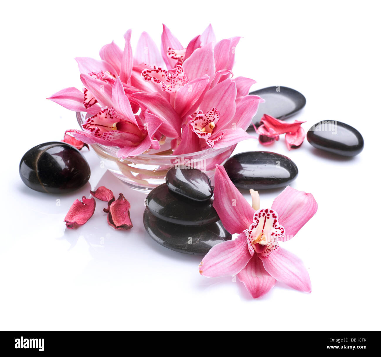 Day spa Cut Out Stock Images & Pictures - Alamy