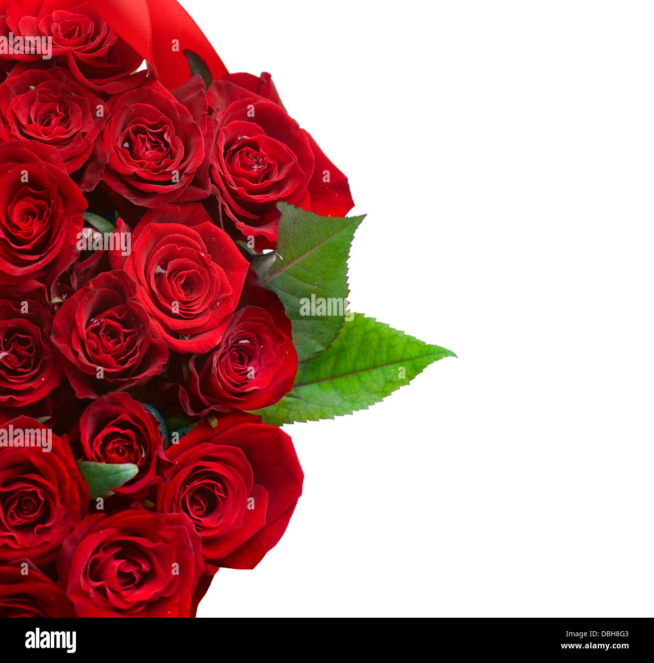 Red Roses Bouquet border Stock Photo - Alamy
