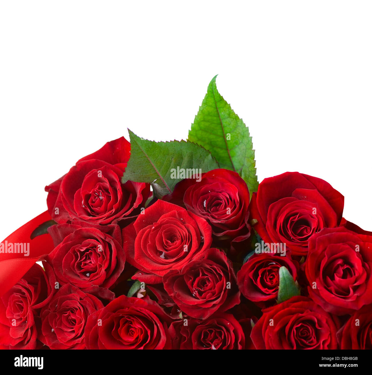 Red Roses Bouquet border Stock Photo - Alamy