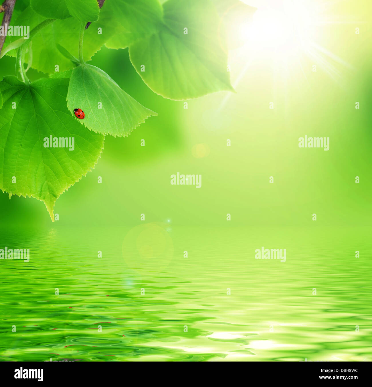 Beautiful Nature Scene Stock Photo - Alamy